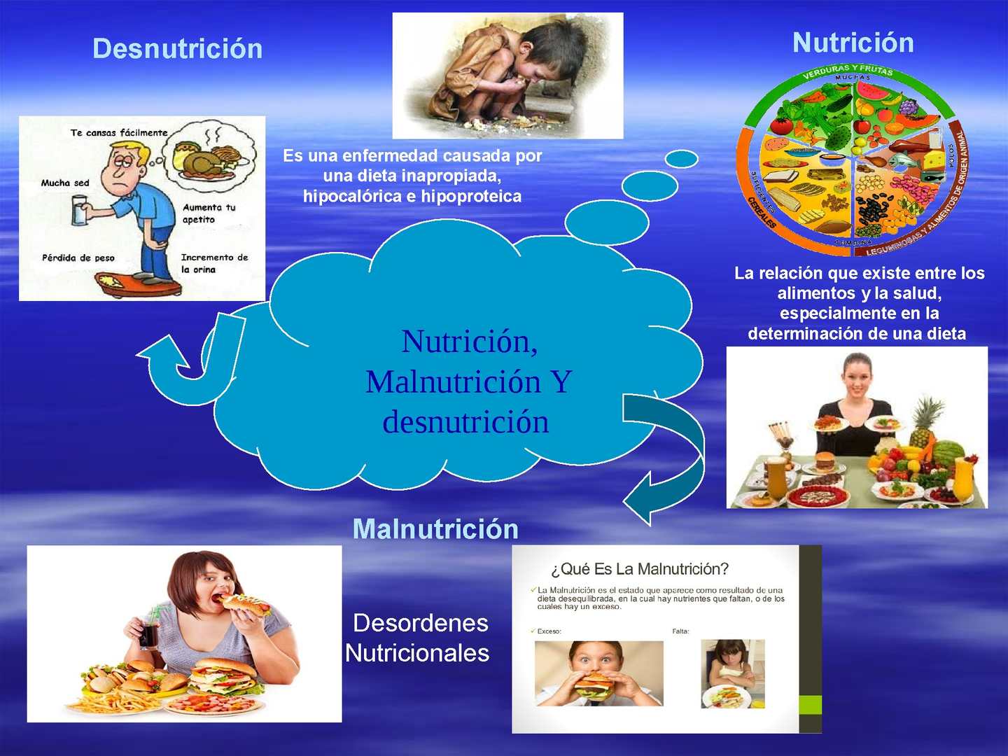 Mapa mental de nutrición ¡Tienes que saber ESTO!
