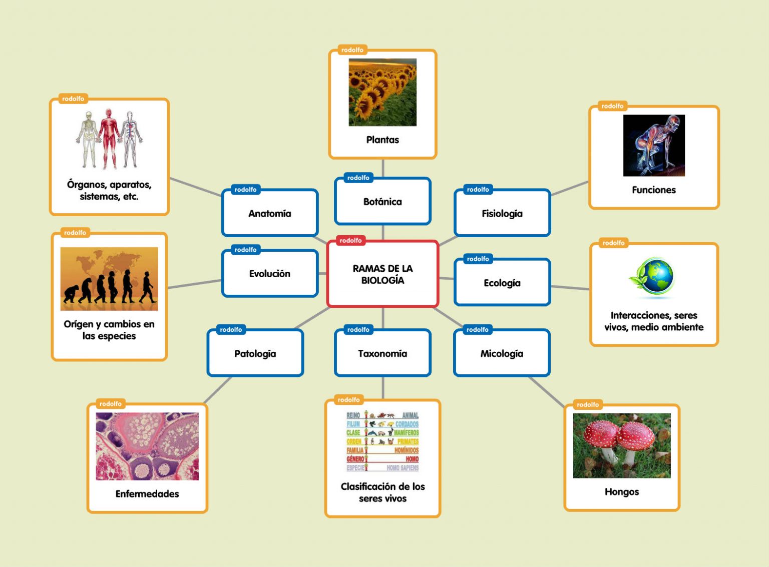 Mapa mental de la biología ¡Tienes que saber ESTO!